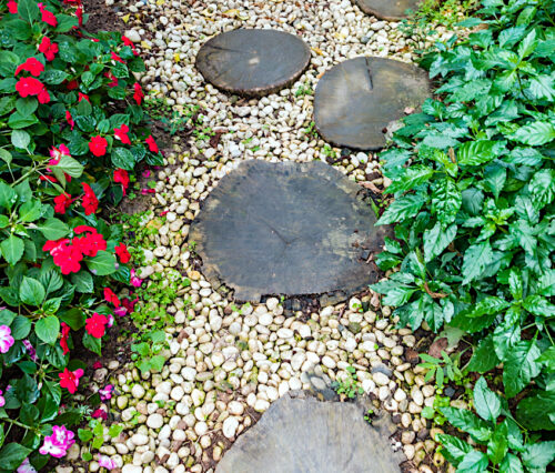 Tree Stump Ideas - Guide to Transforming Old Tree Trunks