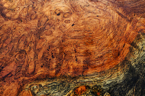 Cypress Wood - Guide to This Durable and Versatile Softwood